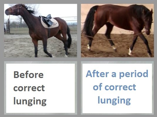 Lunging: the most common mistakes