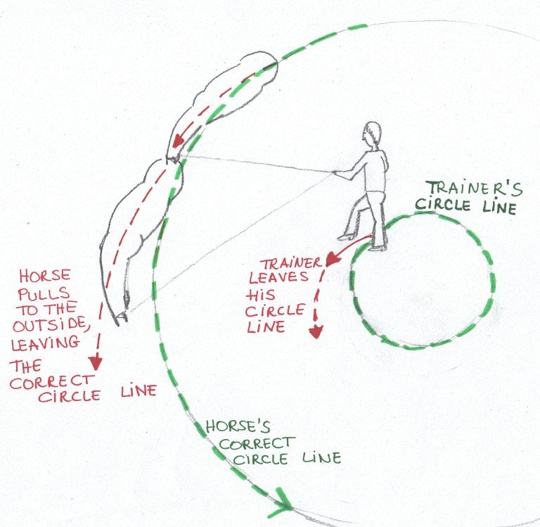 Lunging: the most common mistakes