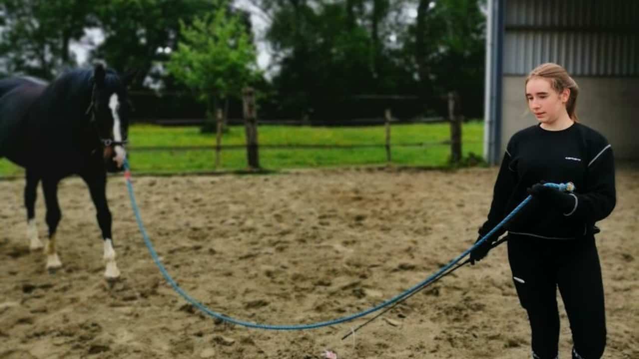 This is key when asking your horse for distance