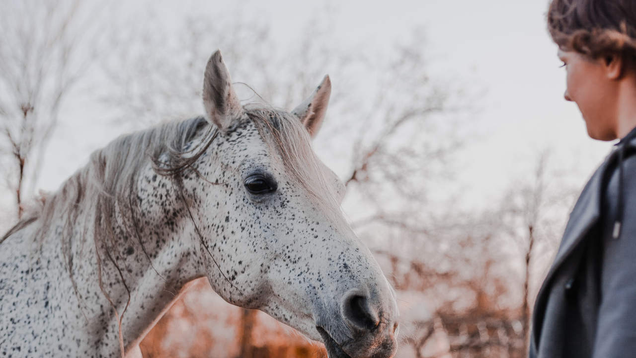 Liberty Connection Training: 6 tips