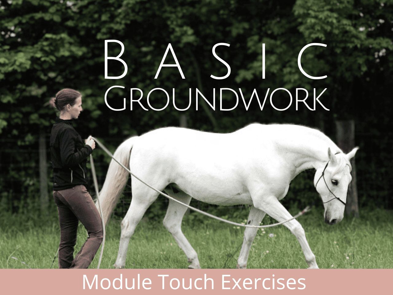 Shop - Horsefulness Training
